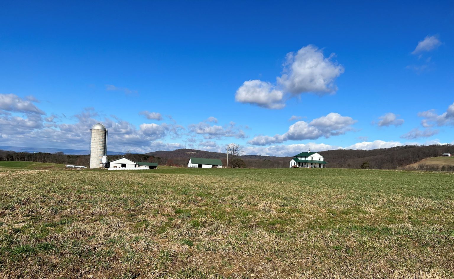 Fraley Auction Company, Inc.