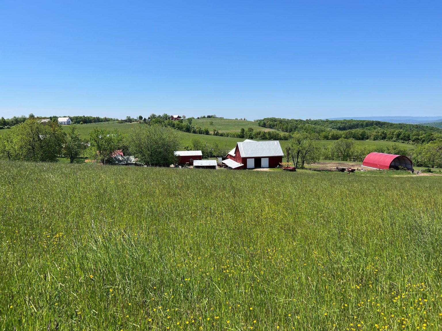 Fraley Auction Company, Inc. | Fry Complete Farm & Home Dispersal